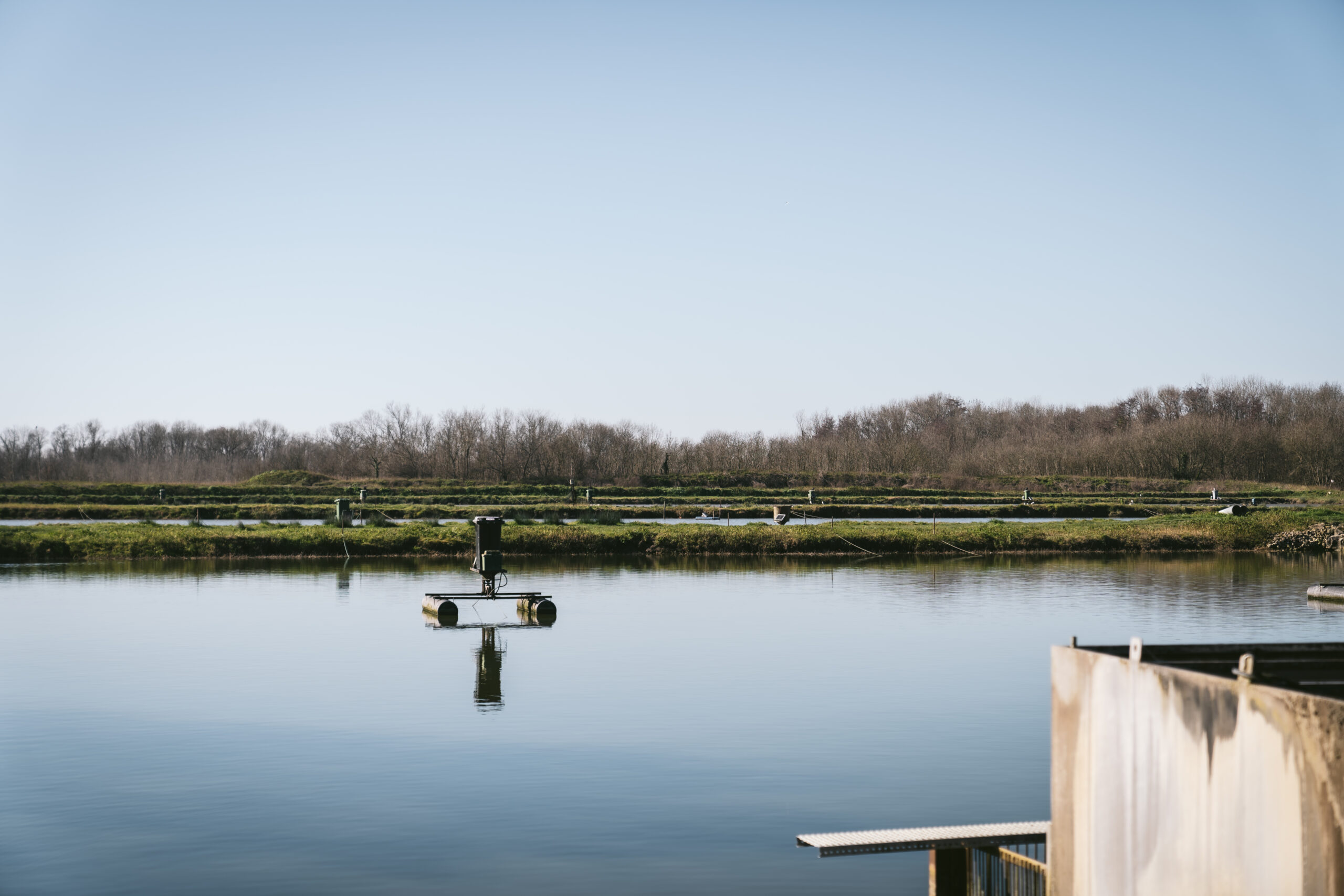 Caviar Sturia, Excellence et Éthique – SLOWWAY MAGAZINE