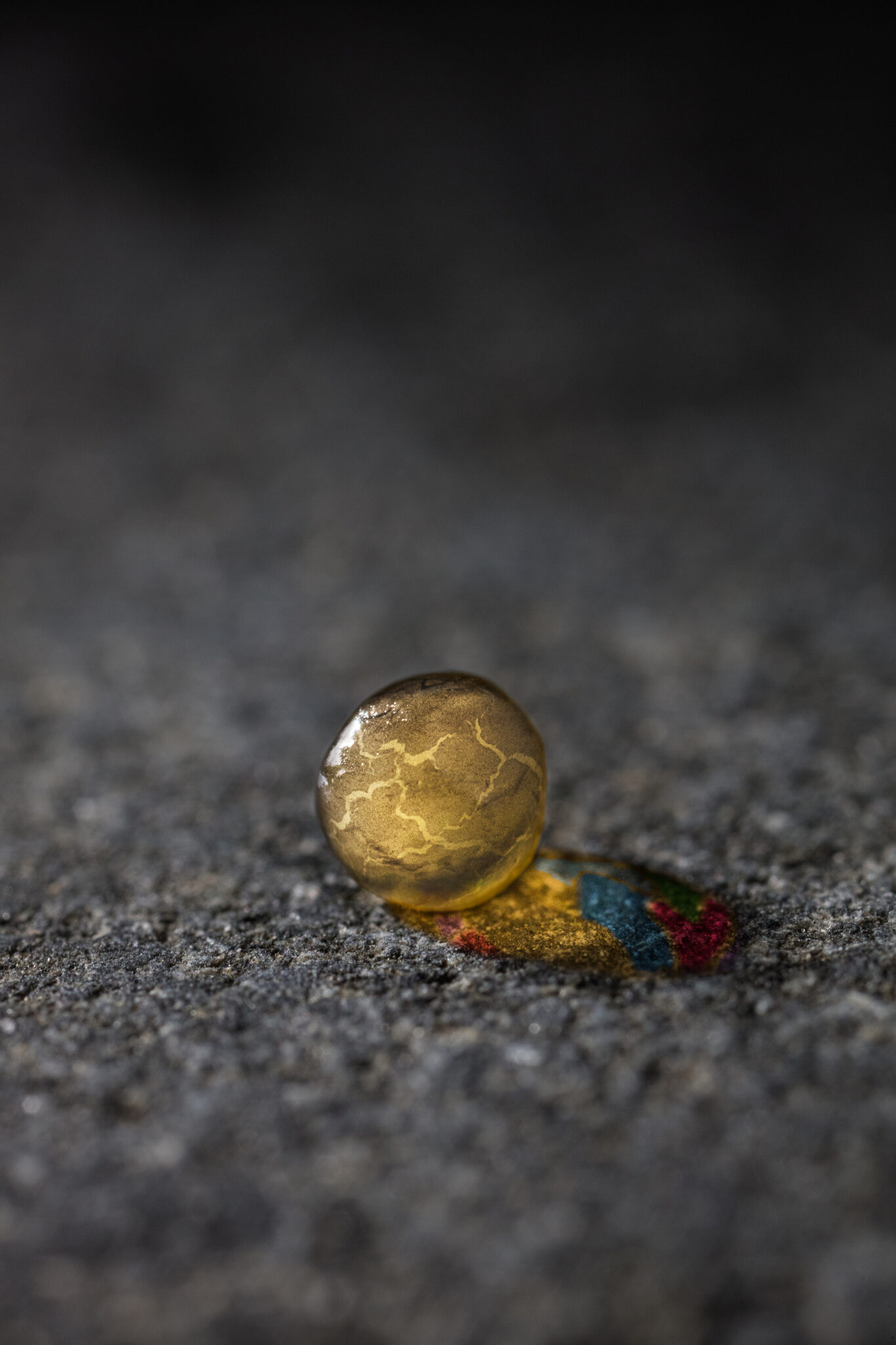 Caviar Sturia, Excellence et Éthique – SLOWWAY MAGAZINE